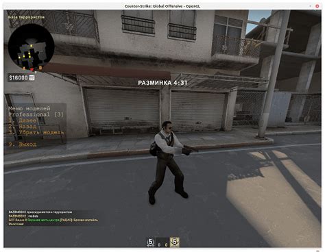 Плагин Player Models and Arms для CS 1 6