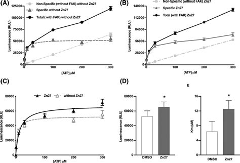 Saturation‐binding Assay For Atp In The Presence Or Absence Of Fak For Download Scientific