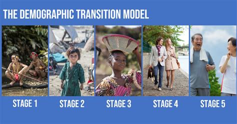 Gcse Geography Demographic Transition Model Development Gap 5