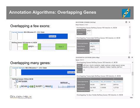Comprehensive Clinical Workflows For Copy Number Variants In Varseq Pdf
