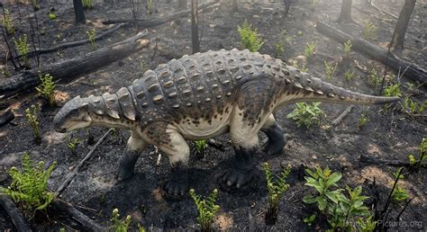 Peloroplites Pictures And Facts The Dinosaur Database
