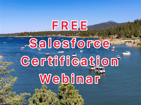 Salesforce Certification Days Free Training Webinar Dydc