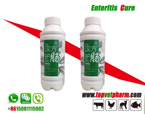 Prevention And Treatment For Poultry Enteritis