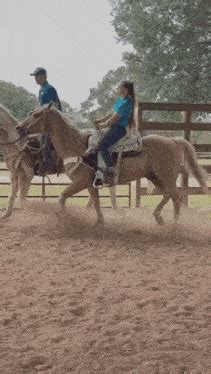 Horse Horse Butt  Horse Horse Butt Assemble Discover And Share S