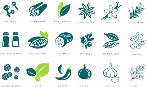 향기로운 향신료 선형 아이콘 세트 흰색 배경에 이름 가진 조미료 벡터 일러스트 고추류에 대한 스톡 벡터 아트 및 기타 이미지 고추류 라벨 벡터 Istock