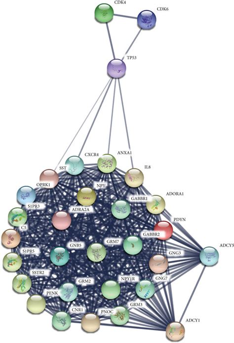 Top 4 Modules From The Protein Protein Interaction Network A Module Download Scientific