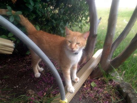 My Friends Mother Is A Real Estate Agent And Recently Discovered That The People Who Used To