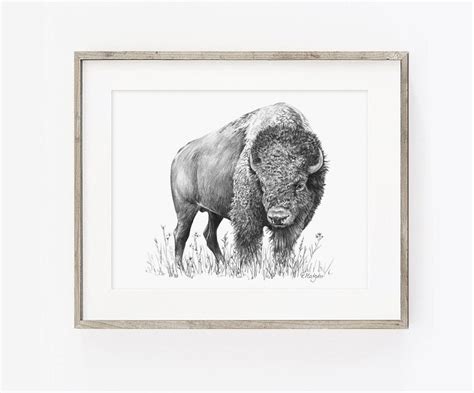 Bison Art Print American Buffalo Wall Art North American Plains Bison