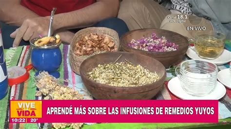 Infusiones De Remedios Yuyos ¿cuáles Elegir Y Cómo Prepararlo