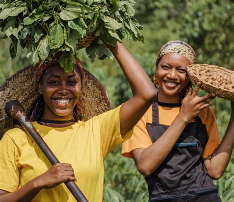 Farmhub Home Three Agriculture Farming Next Js Template