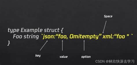 为什么 Go 语言 Struct 要使用 Tags Csdn博客