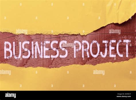 Text Sign Showing Business Project Conceptual Photo Planned Set Of Interrelated Tasks To Be
