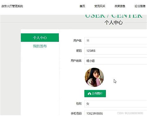 javaweb政务大厅管理系统jsp java springboot mysql mybatis java开发政务面板 csdn博客