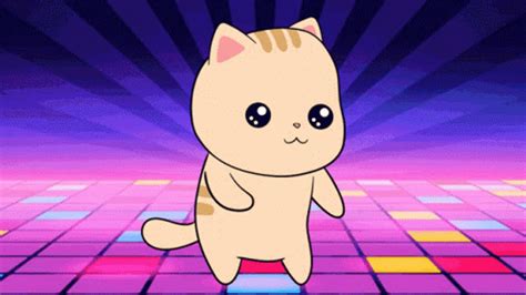 Viral Dancing Cat  The Ultimate Fun For Social Media