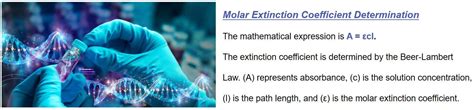 Molar Extinction Coefficient Determination For Nucleic Acid Drugs
