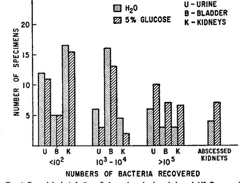 Figure 1 From Experimental Pyelonephritis Xvi Pseudomonas Aeruginosa Escherichia Coli And