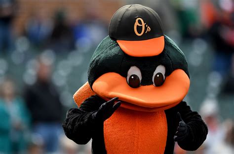 Orioles Mascot