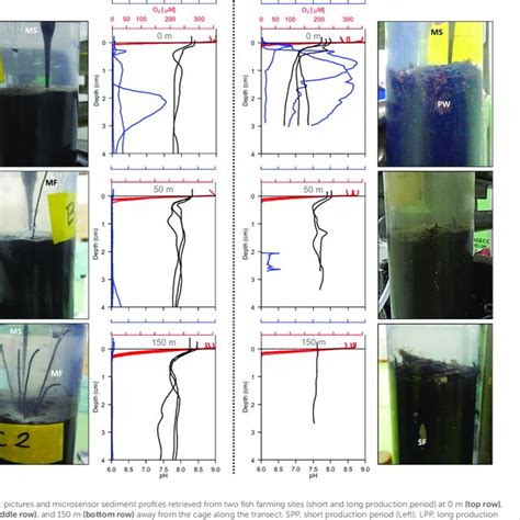 Geochemical Characteristics Of Sediments From The Field And Lab