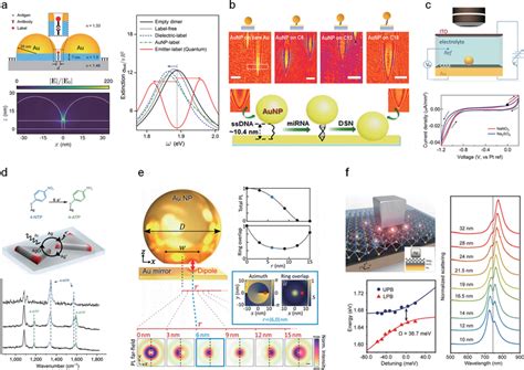 Applications Of Quantum Plasmonic Nanostructures A Quantum Plasmonic