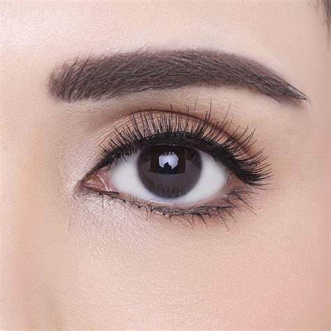 Makeup Artist Favorite Brand Artisan Professionnel