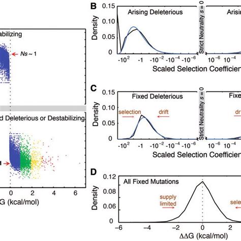 Fitness And Molecular Effects Of Mutations Under Mutationselection