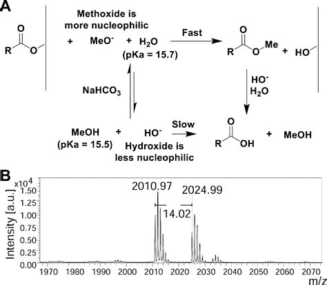 Figure 3 From Parallel Glyco Spot Synthesis Of Glycopeptide Libraries