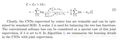 深度学习干货学习（1）——center Lossmini Batch Center Loss Csdn博客