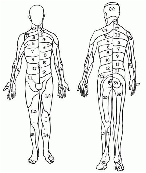Management Of Upper Extremity Dysfunction Following Stroke Or Brain