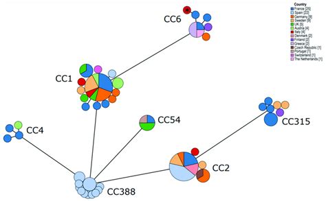 minimum spanning tree constructed based on the gene scheme used for