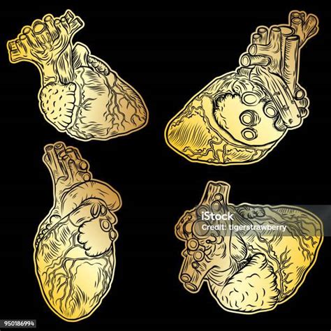 금 해 부 인간 심 혼 포스터 개념 장소 카드 디자인 손으로 그린 육체 문신 아이디어의 집합입니다 인사말 카드 티셔츠 패션에 대 한 벡터 개체 그룹에 대한 스톡 벡터 아트