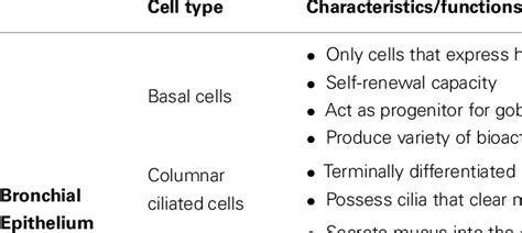 Different Airway Epithelial Cell Types And Their Characteristics Download Table