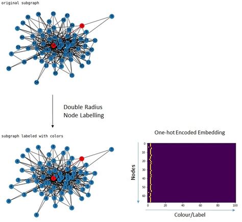 nodes in the enclosing subgraph are relabeled colored based on their