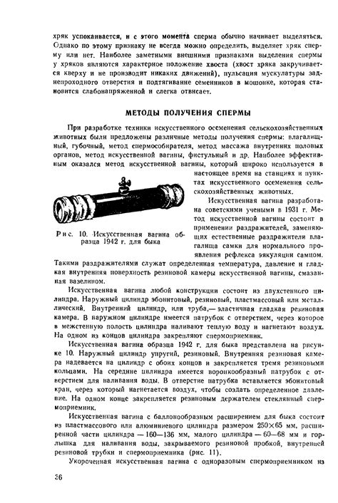 Из Чего Состоит Вагина – Telegraph