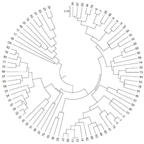 Dendrogram Produced Using The Unweighted Pair Group Method With