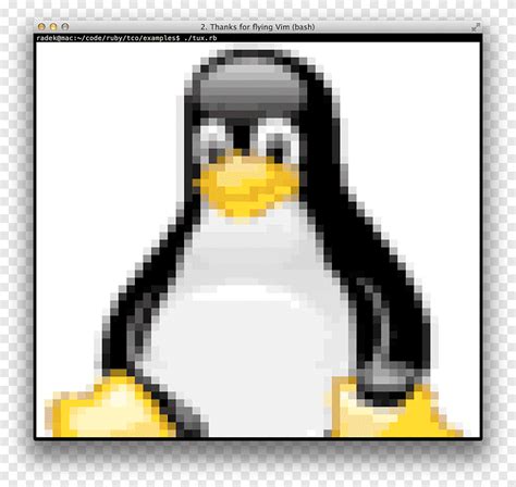 Linux Kernel Tux Unix Linux Distribution Linux Vertebrate Bird Png