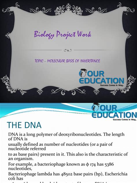 Biology Project Work Topic Molecular Basis Of Inheritance Pdf Translation Biology Operon