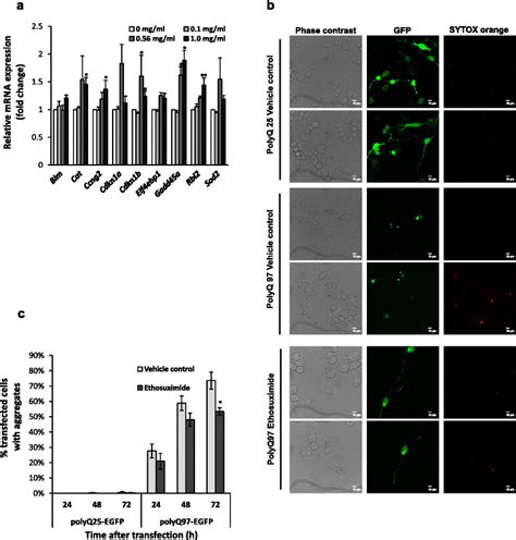Ethosuximide Induces Foxo Target Gene Expression And Reduces