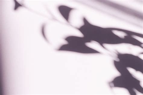 나무는 벽 배경에 그림자를 남깁니다 추상 배경 시멘트 벽 그림자 빛 개념 그림자 효과 0명에 대한 스톡 사진 및 기타 이미지 0명 검은색 겉창 Istock