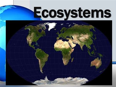 Ecosystems Structure And Function Pptx
