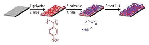 Polyelectrolyte Multilayer Films And Membrane Functionalization