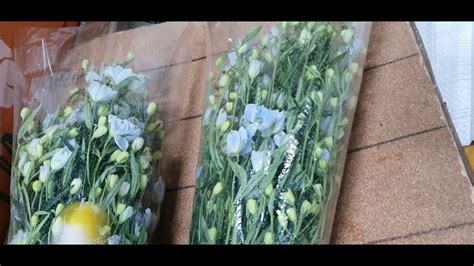 미니델피늄 생화 인터넷꽃도매시장 생화택배 생화도매 인터넷꽃시장 인터넷꽃도매 장미대량구매 꽃 꽃다발 꽃도매 꽃시장 부산꽃시장 김해꽃시장 꽃쇼핑몰 김해꽃 부산꽃 꽃싸게사는법