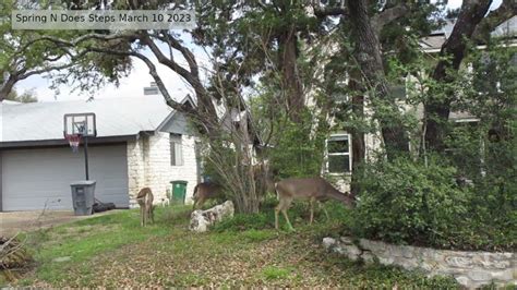 Eye Caught Snippet Spring N Does Steps March 10 2023 Youtube