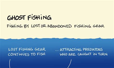 Ghost Grid Sketchplanations