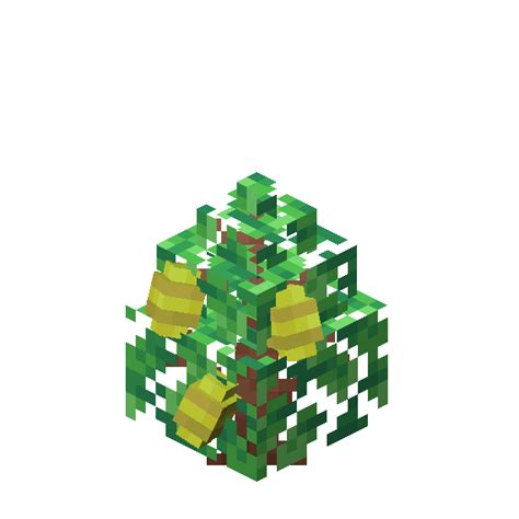 Berry Tree Cobblemon Wiki