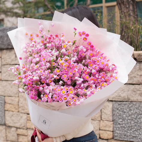 대형꽃다발 핑크 로단테 원모먼트