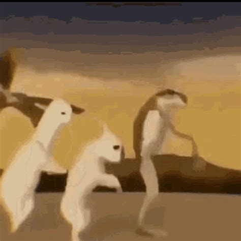 Dancing Animals Animated 