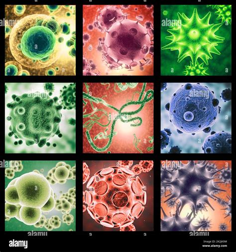 Cellule Vu Au Microscope Banque De Photographies Et Dimages à Haute
