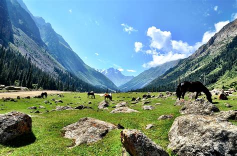 Киргизия Фото : Tury V Kirgiziyu Iz Kieva Ukraina Cena Putevki Na ...