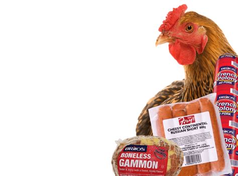 Frozen Chilled And Dry Goods All Oceans And Gatti Upington