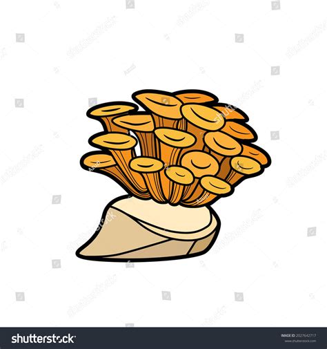 Coral Polyp Color Variation Coloring Page Stock Vector Royalty Free